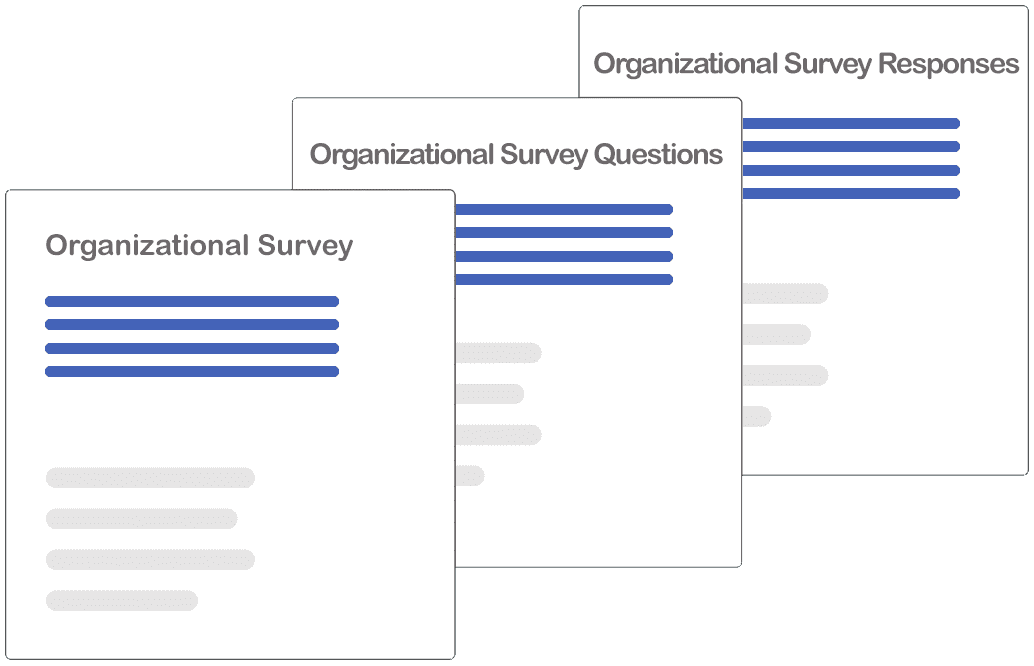 Organizational Surveys - Officer Survey